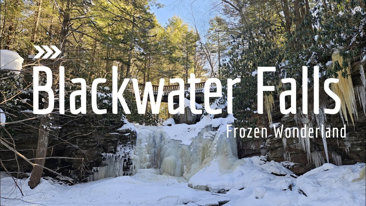 Blackwater Falls State Park draped in ice and snow! in 4k! #nature # ...