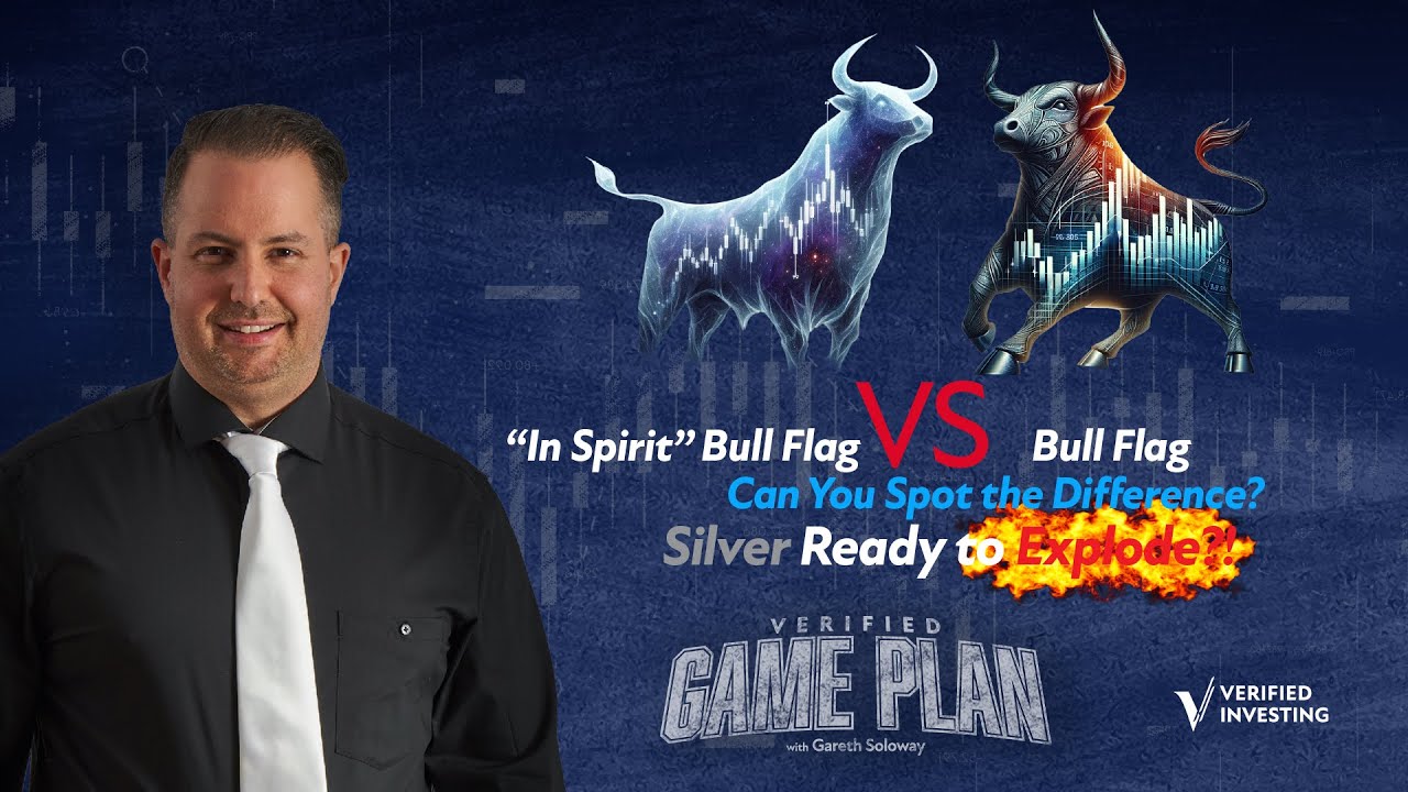 Bull Flag vs "In Spirit" Bull Flag: Can You Spot the Difference? Silver ...