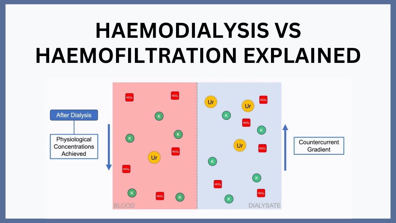 Haemodialysis vs Haemofiltration Explained - YouTube