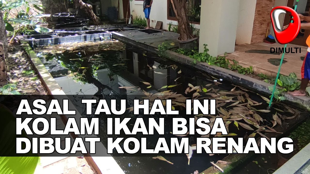 KOLAM IKAN YANG DIBANGUN MENJADI SEBUAH KOLAM RENANG SEMI OVERFLOW DI ...