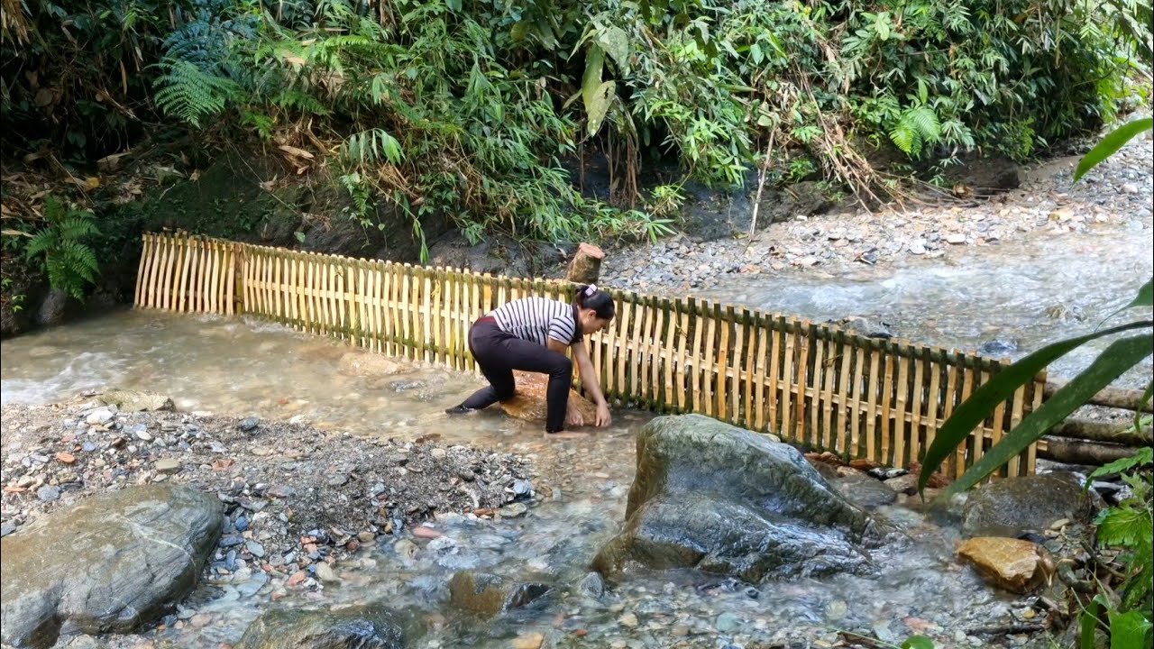 How to build a bamboo dam to block a stream for ducks to swim - YouTube
