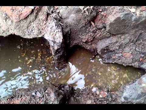 Rios de caca...Work in progres.... - YouTube