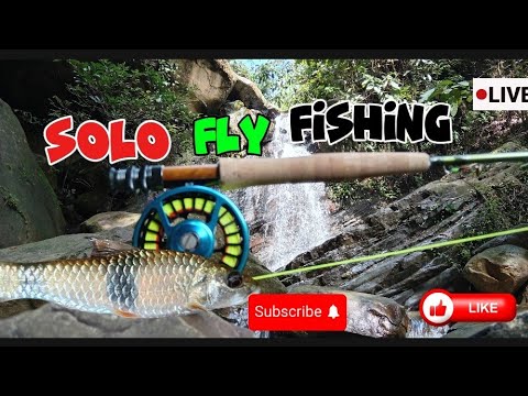 SOLO FLY FISHING | SEBARAU | SELUANG | fly fishing malaysia - YouTube