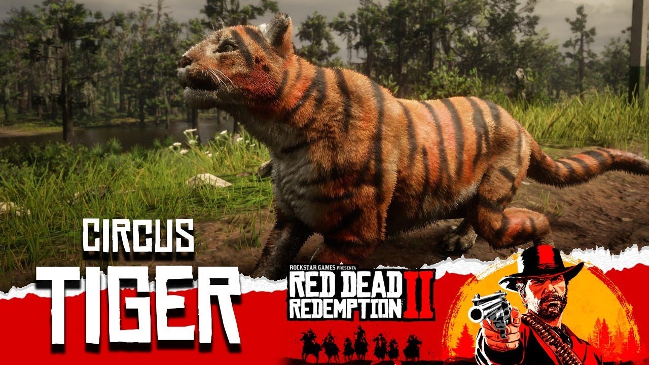 Circus Tiger | Red Dead Redemption 2 | PS5 - YouTube