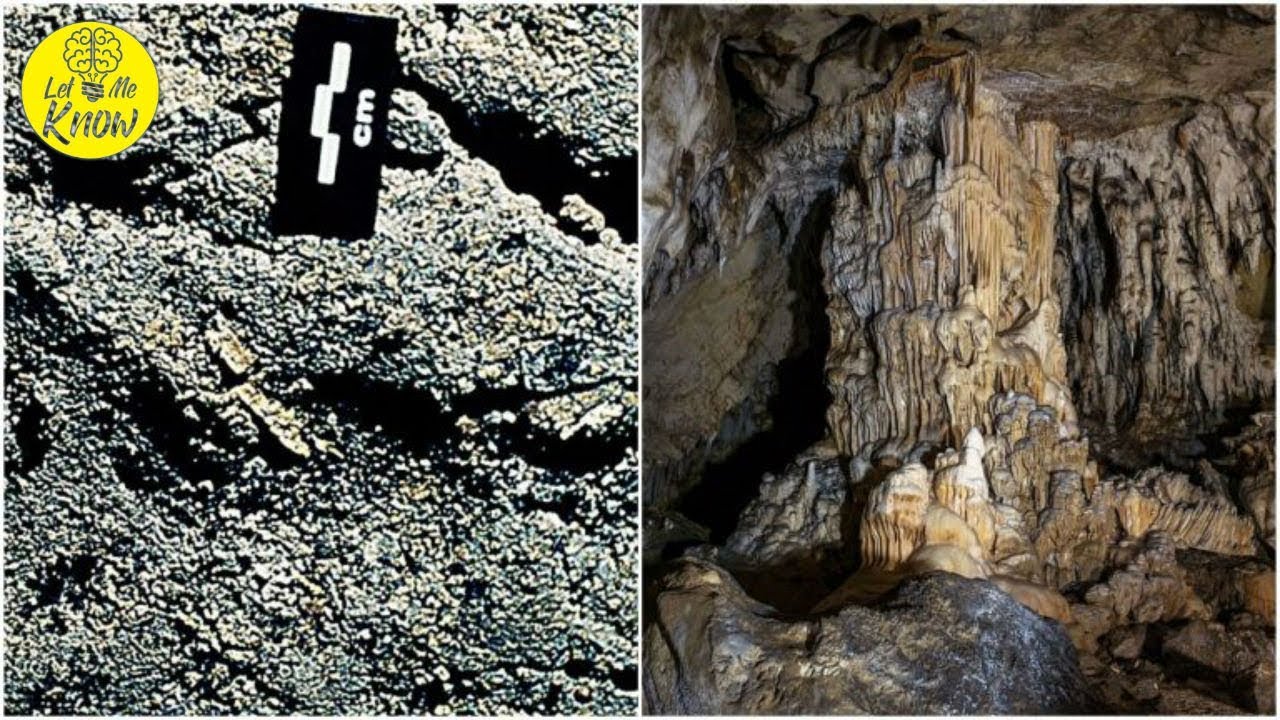 The 26,000 Year Old Footprints In This Cave Offer A Glimpse Of The ...