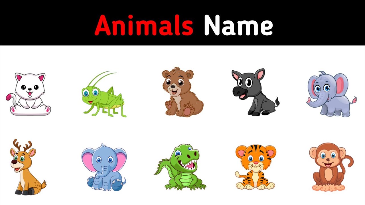Discover New Animals : Learn Animals With Sounds | Fun Learning For ...