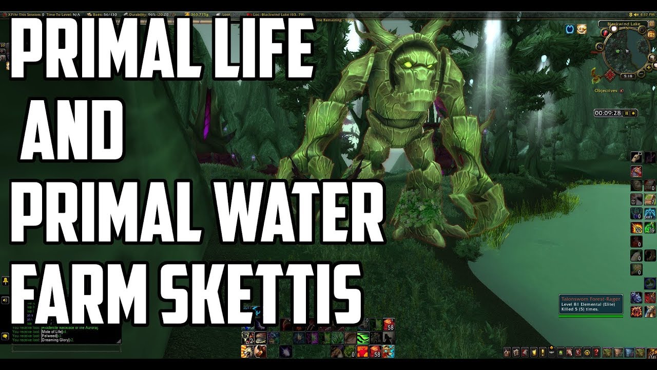 Gamer : Wow World of Warcraft gold farm Skettis primal life primal ...