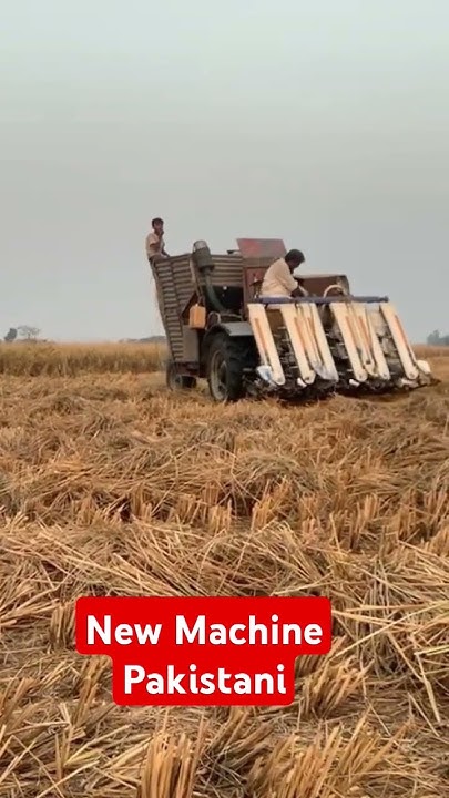 Pakistani velog - YouTube