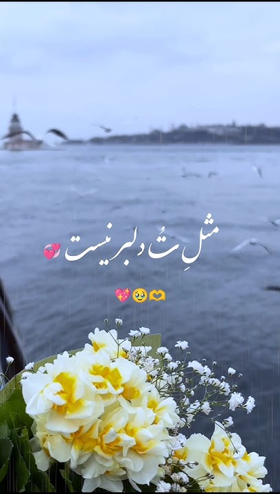 ترکیب هایده و محسن چاووشی ️🔥 هایده آهنگ محسن چاوشی عاشقانه ها موزیک