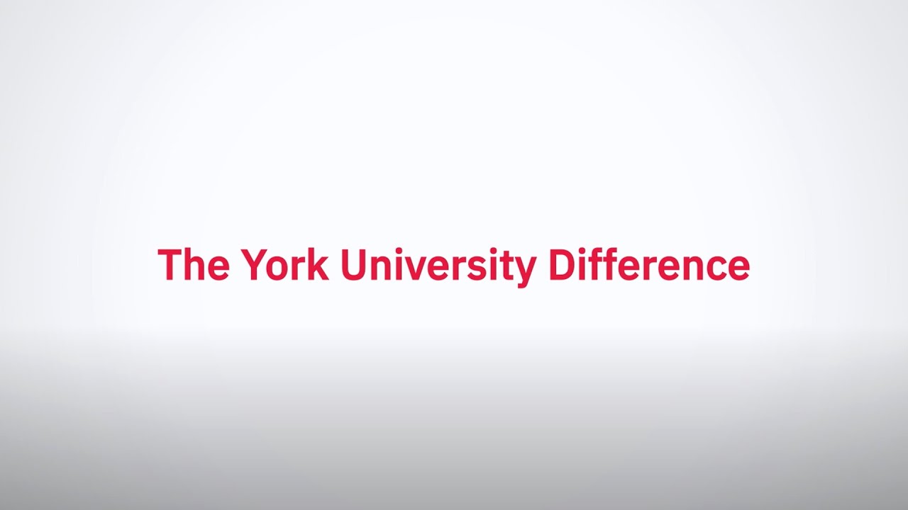 York University Logo