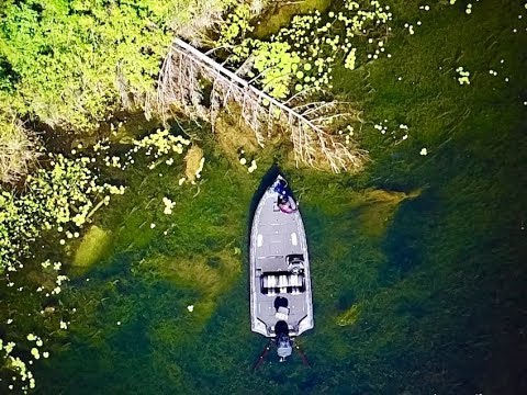 How To Fish Fallen Trees for BIG BASS- WEB EXCLUSIVE - YouTube