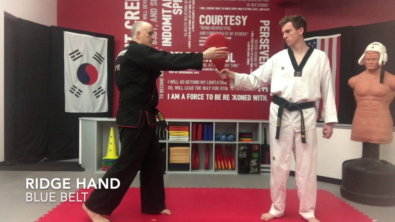 Techniques - Ridge Hand Strike - YouTube