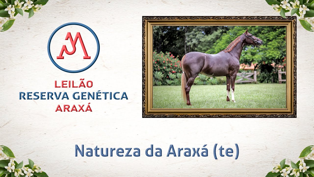 Natureza da Araxá - YouTube