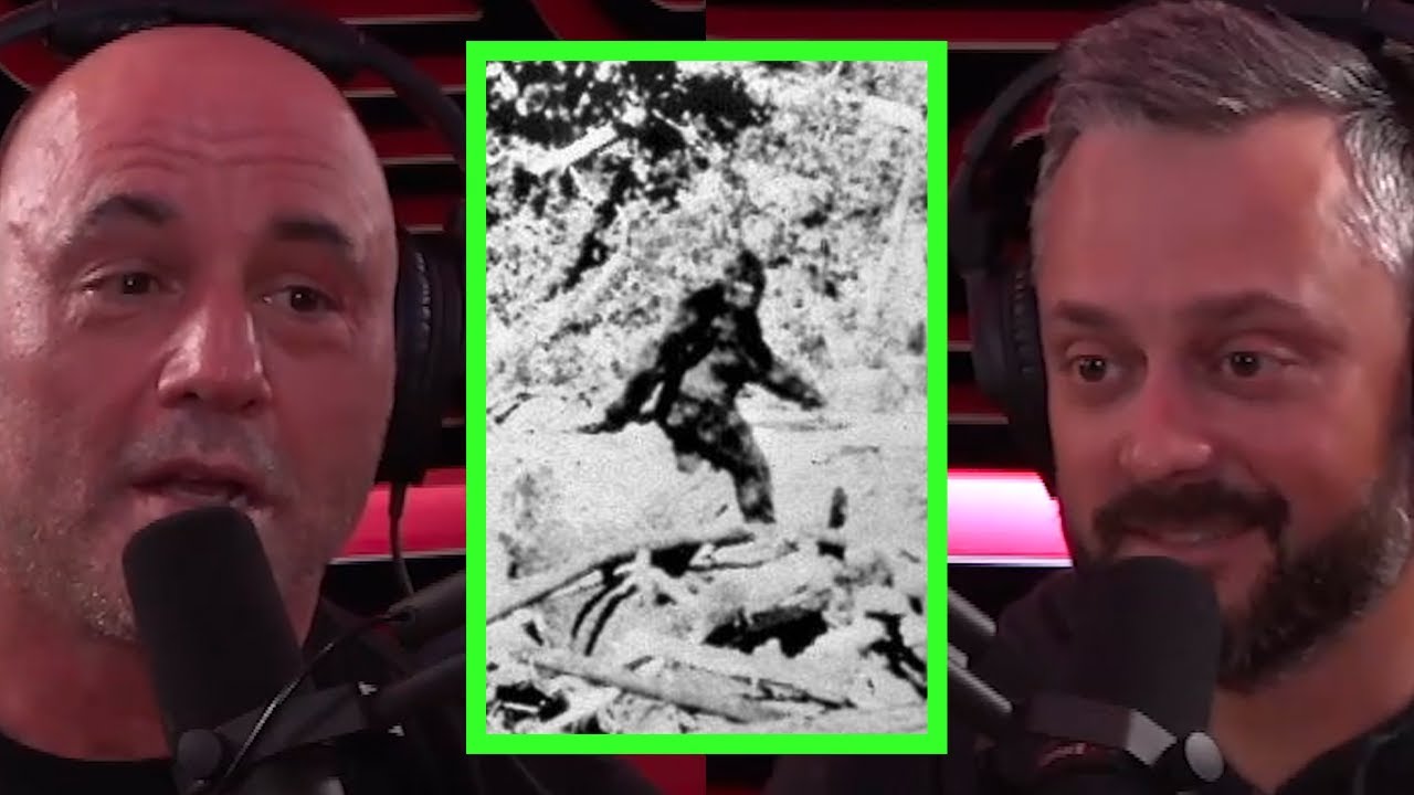 Joe Talks About Bigfoot and UFO’s – Bigfoot Sasquatch News