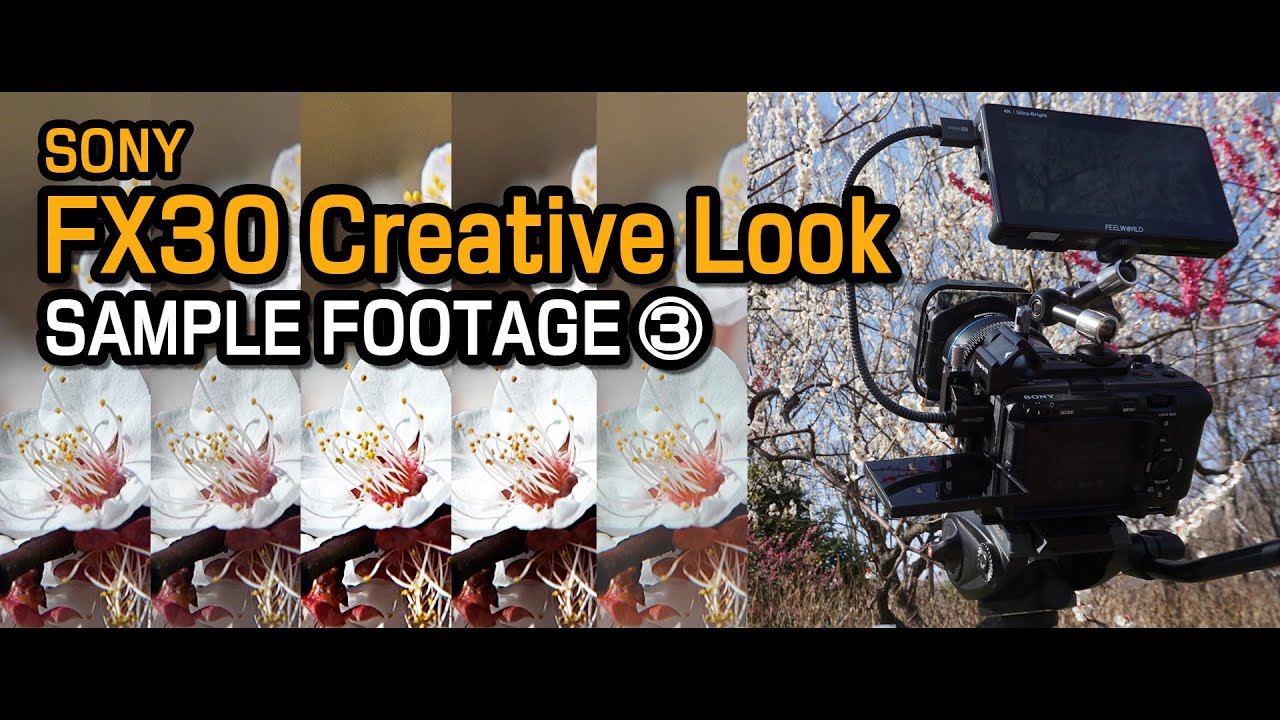 SONY FX30 Creative Look Sample Footage (3) 初めての方でも分かりやすい。被写体別のイメージに合った ...