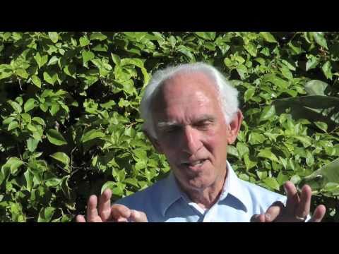 Wisdom University's class "Beyond Ethics" (John Hanagan) - YouTube