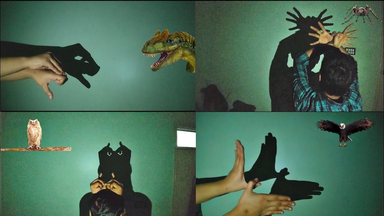 How To Make Hand Shadow Animals || Art Of Hand Shadow Puppets ...