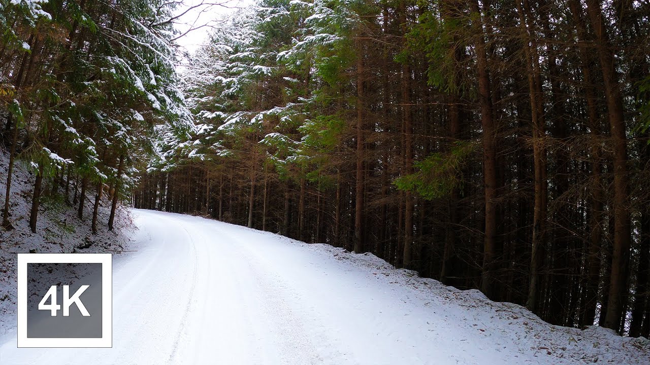 Calming Winter Walk in 4k / Winter Relaxing Hike (Nature Sounds) - UHD ...