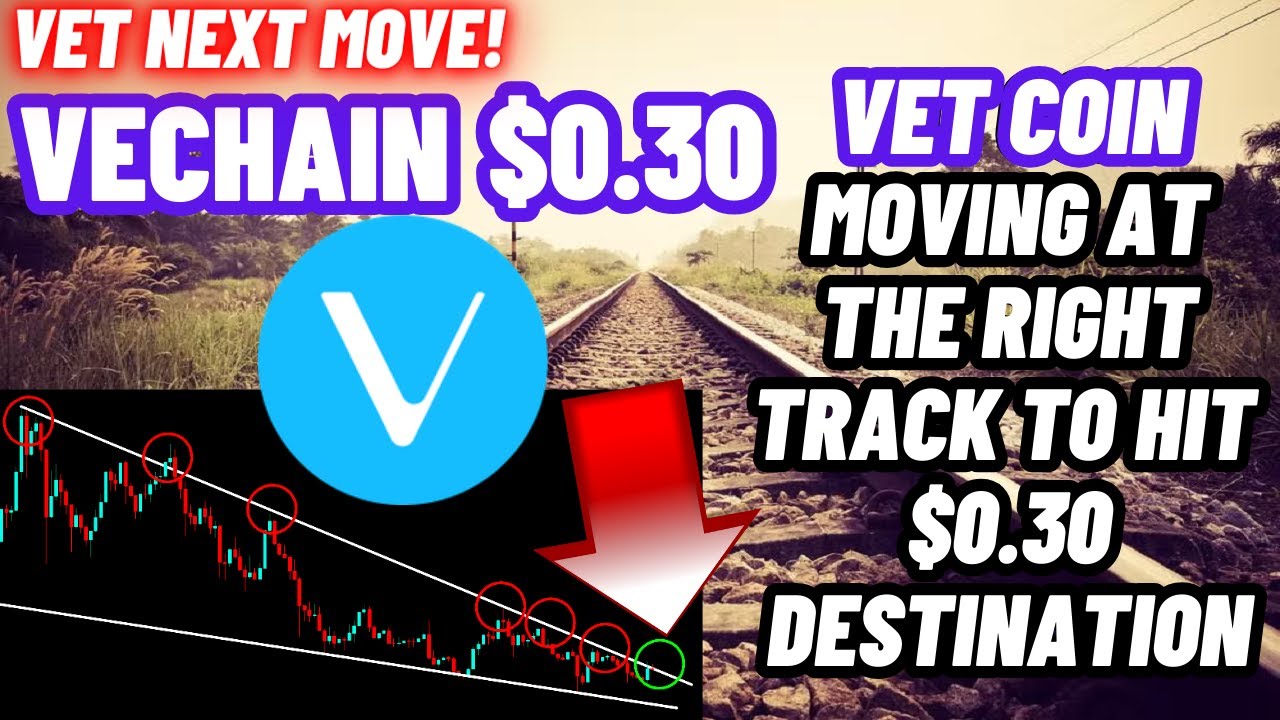 Vechain (VET) VET Coin Is Moving At The Right Track To Hit $0.30 ...