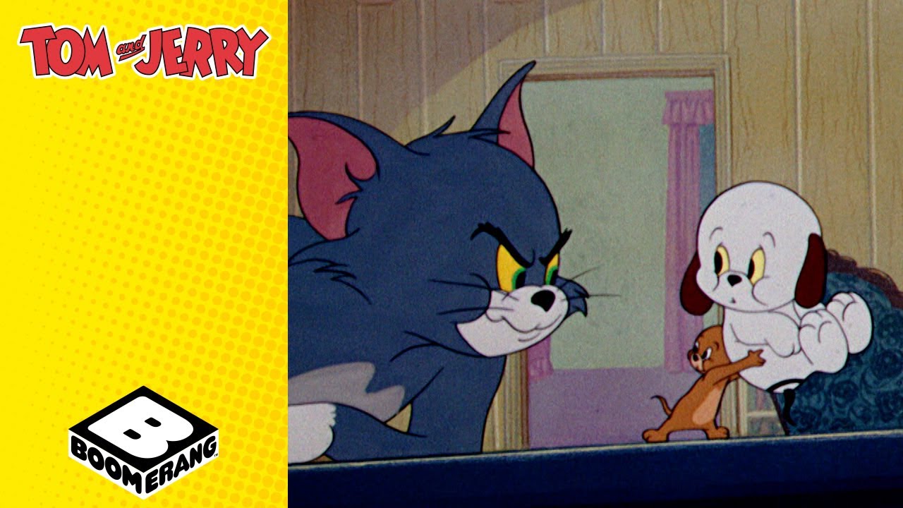 Jerry Gets A Dog | Tom and Jerry | @BoomerangUK - YouTube