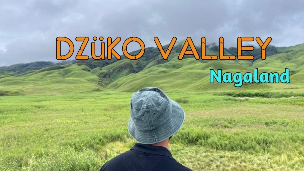Dzuko Valley Nagaland I How to reach Dzuko valley I Trekking to Dzuko ...