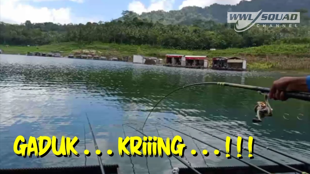 Sensasi Berotan Babon WWL || Mancing Wadaslintang Terbaru - YouTube