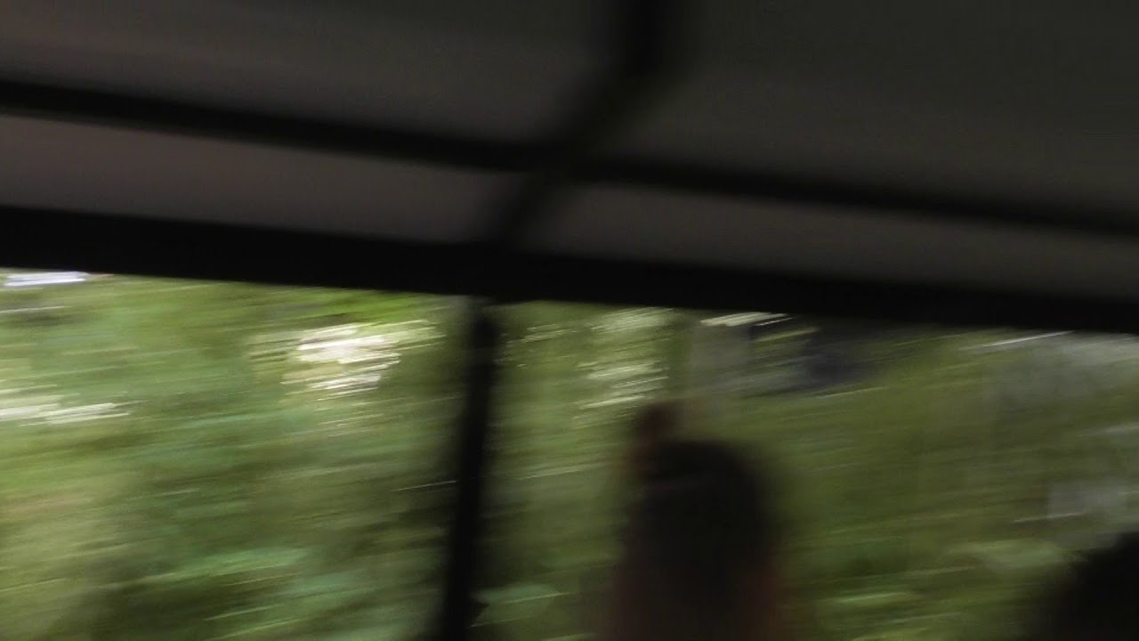 wildlife Free train ride at Colchester Zoo Britain UK 23Aug17 1216p ...