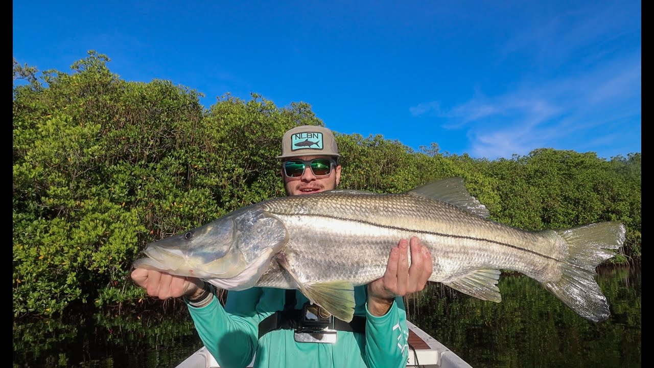 GIANT SNOOK on Topwater - YouTube