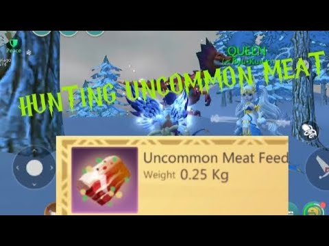 UTOPIA ORIGIN: HUNTING UNCOMMON MEAT🤗 #ryuusora7 #hunting #kill #meat ...