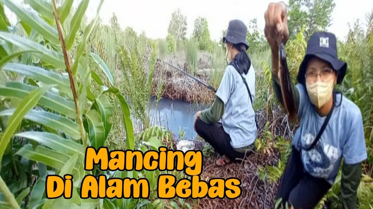 Mancing Di Alam Bebas, diantara semak², Seru...‼️‼️ - YouTube
