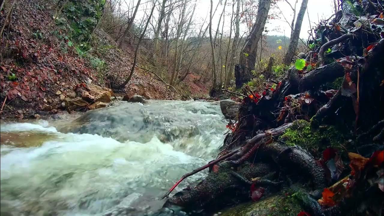 Nature Sounds Waterfall Relaxing Meditation | Calming Water Falling ...