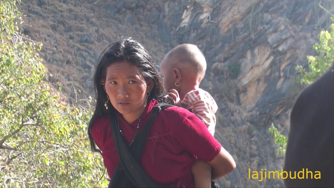 village economy💰💰💰 || village life || himalayan life || - YouTube