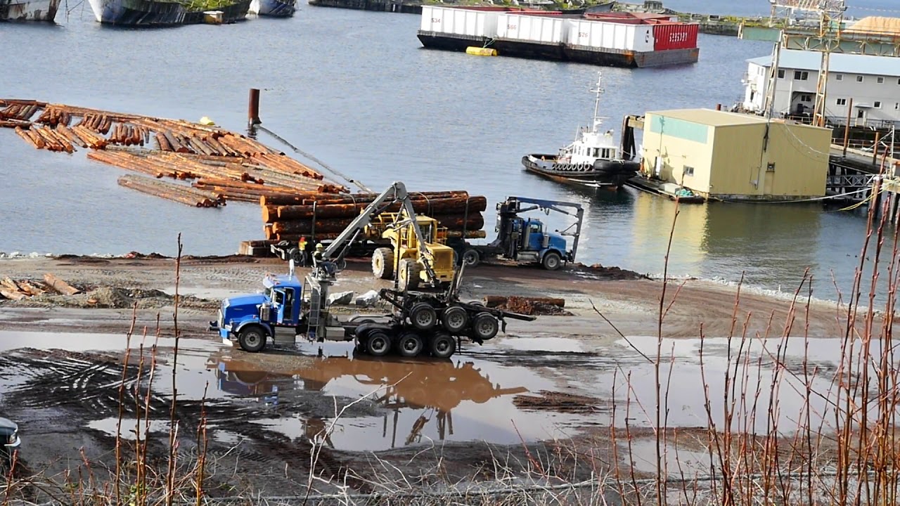 Logging Trucks Dumping Their Loads Powell River - YouTube