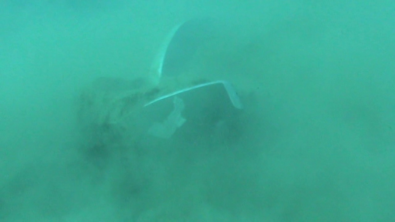 Démonstration ancre SPADE 180° dans le sable - YouTube