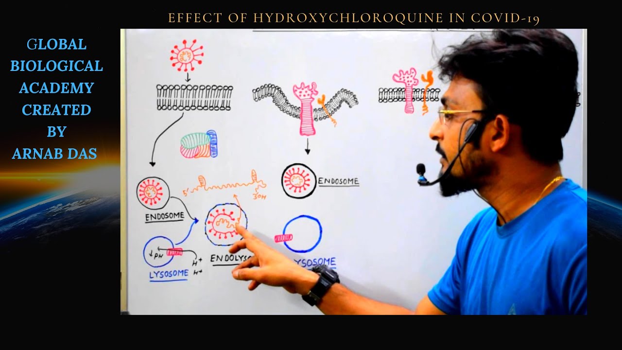 MECHANISM OF ACTION OF HYDROXYCHLOROQUINE IN COVID-19 - YouTube