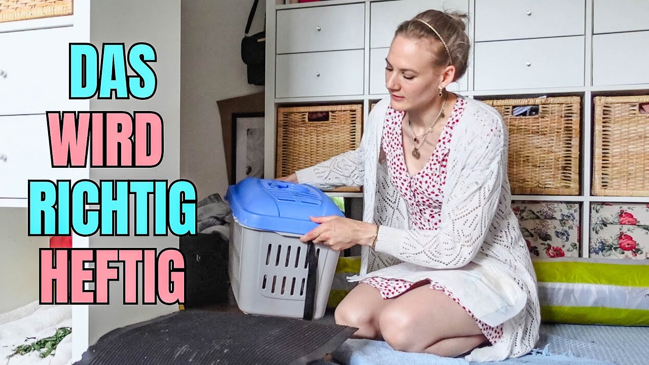 Horror Tag steht uns bevor 😱 Simone Stark Vlog - YouTube