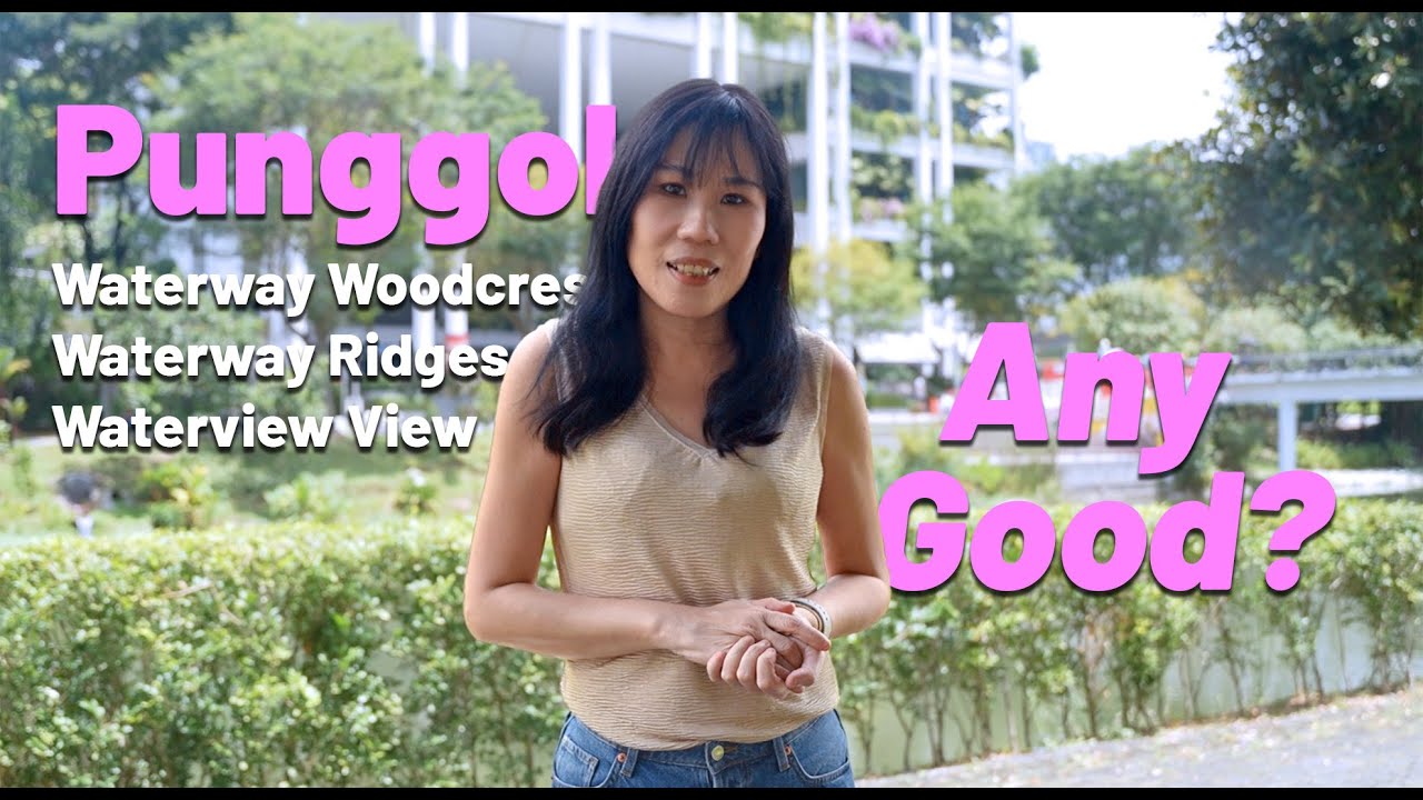 In-Depth Analysis on Punggol Ep 1 | Waterway Woodcress, Waterway View ...