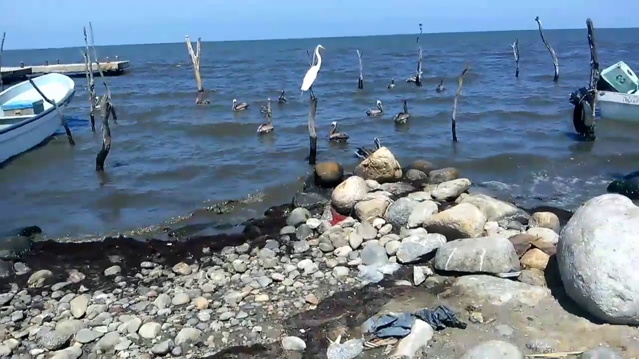 Bahía Paredón Chiapas - YouTube