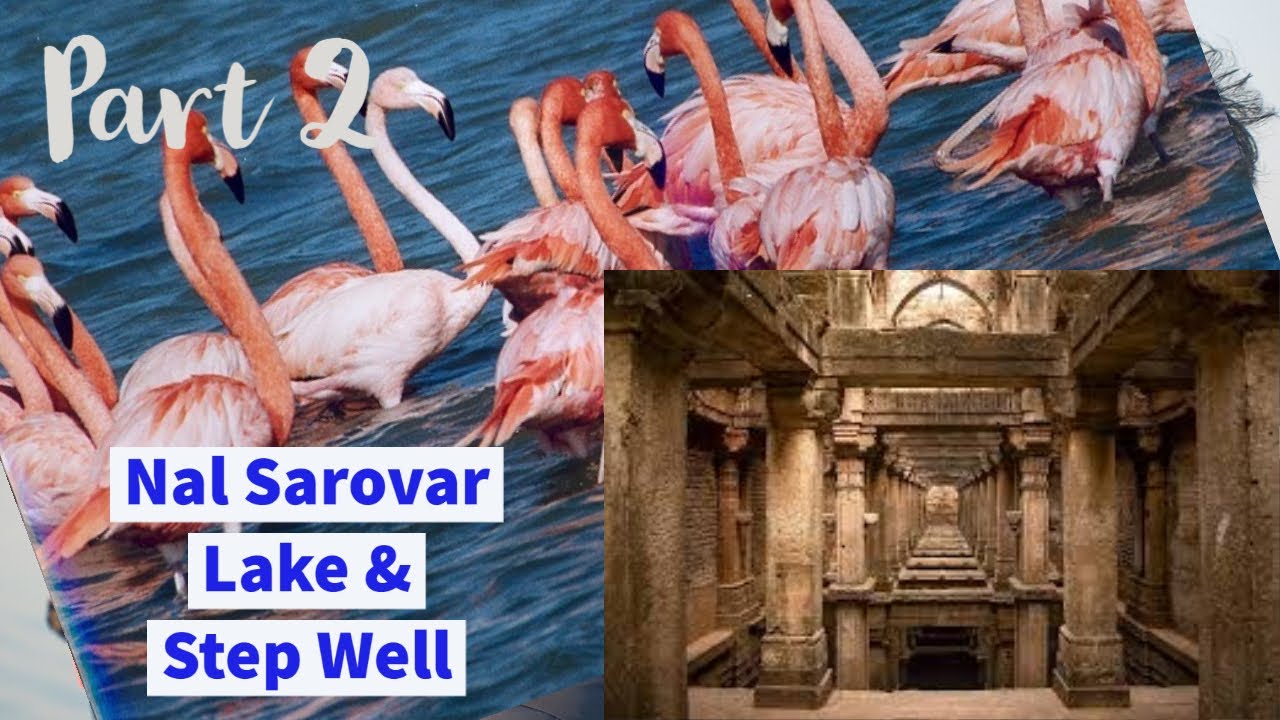 StepWell | Borsad | Nal Sarovar | Scootertrip5000km | Part-2 - YouTube