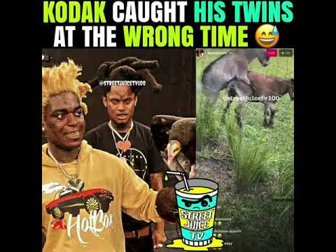 Kodak is literally a goat? - YouTube