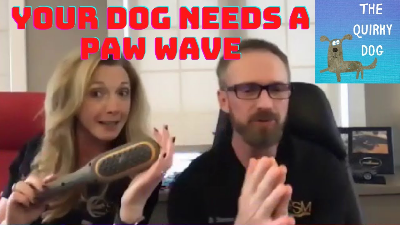 Get Your Dog A Paw Wave Endorsed By The Canapps - YouTube