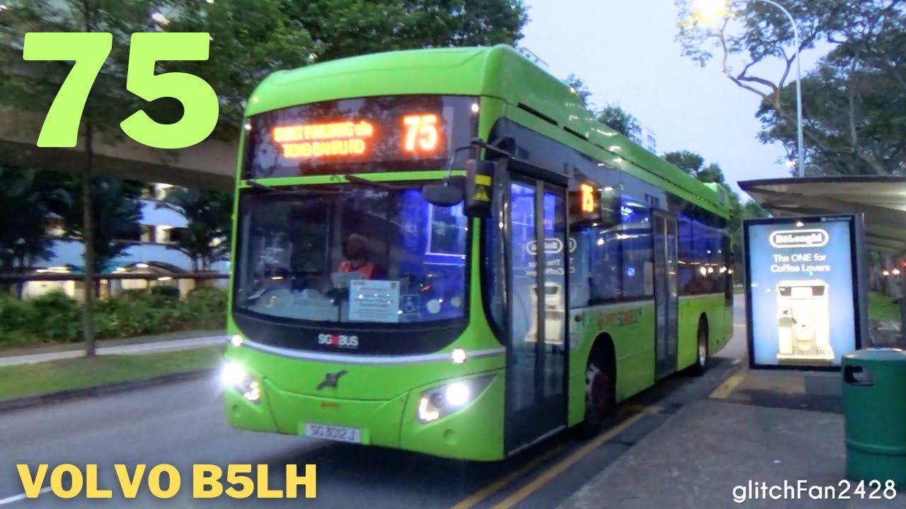 [SMRT] Volvo B5LH Service 75 Evening Run - SG3012J - YouTube