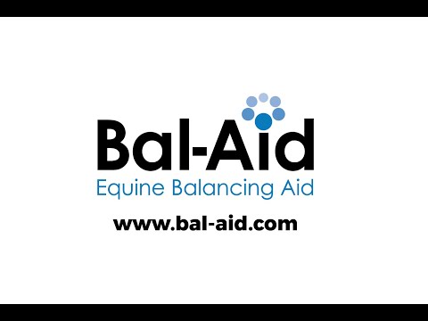Bal-Aid Case Study \