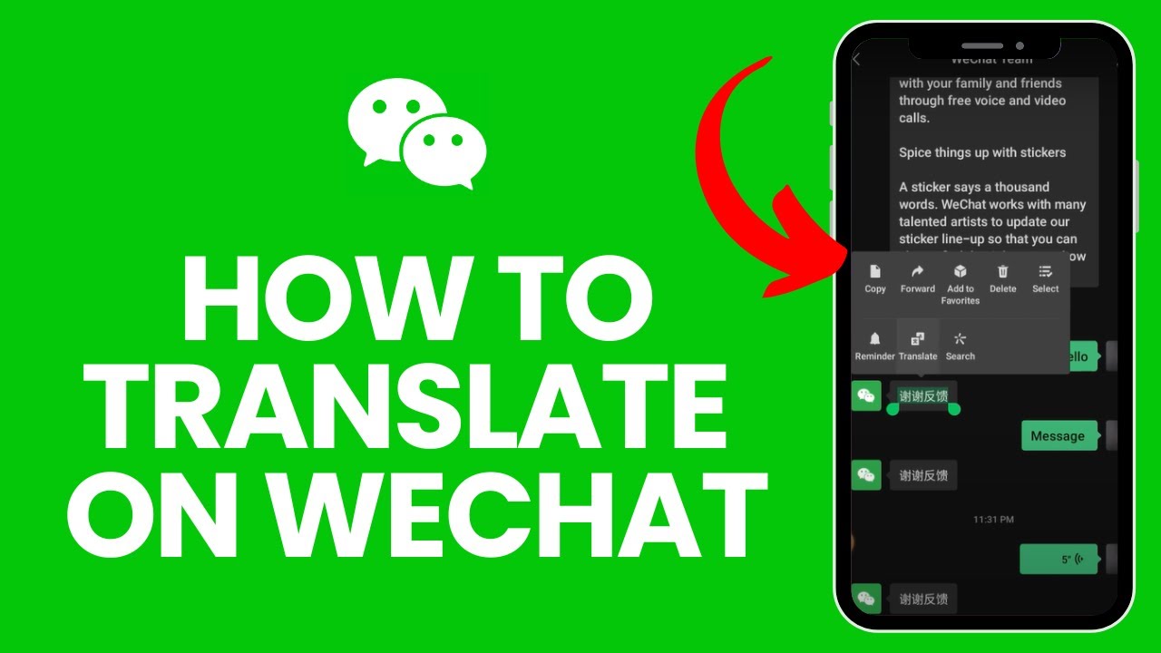 How to Translate on Wechat in 2024? - YouTube