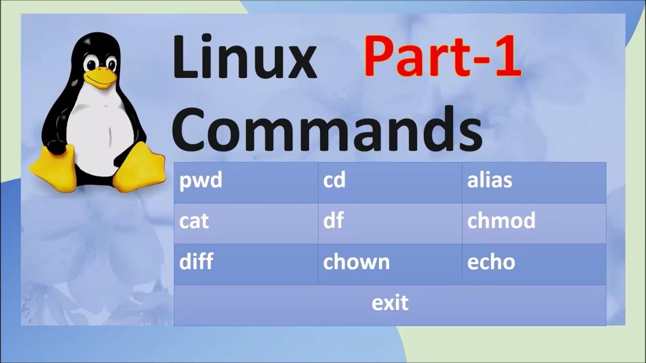 Linux Commands | Commands: pwd, cd, alias, cat, df, chmod, diff, chown, echo and exit - YouTube
