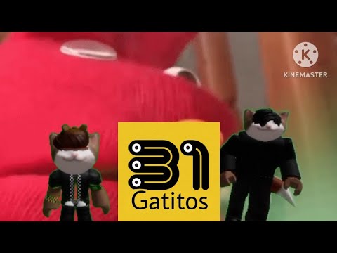 Yo opino -joe opino- 31 gatitos - YouTube