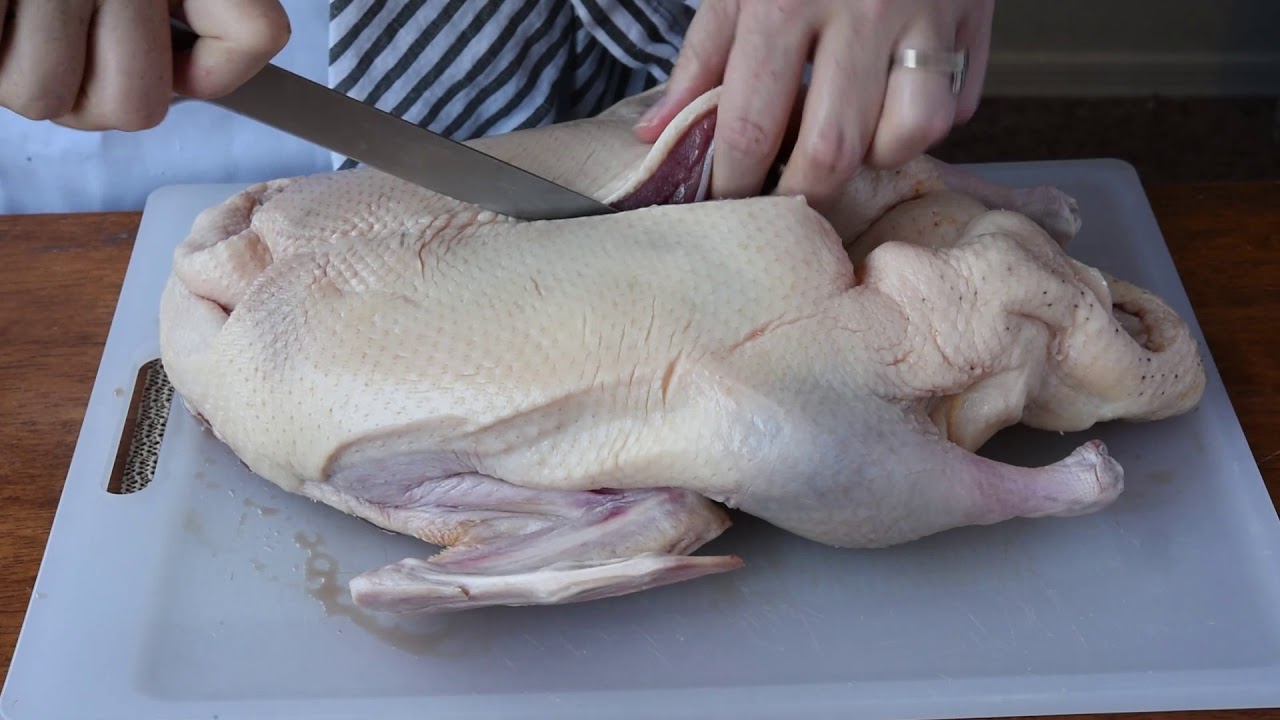 Breaking Down a Duck - YouTube