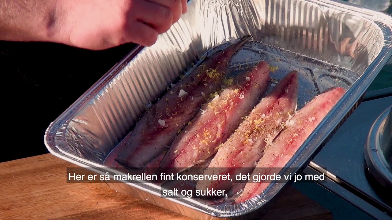 Vi laver røget makrel på dancook grillen | Smoked Mackrel Recipe DANISH ...