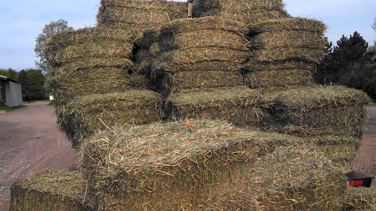 When hauling hay goes bad - YouTube