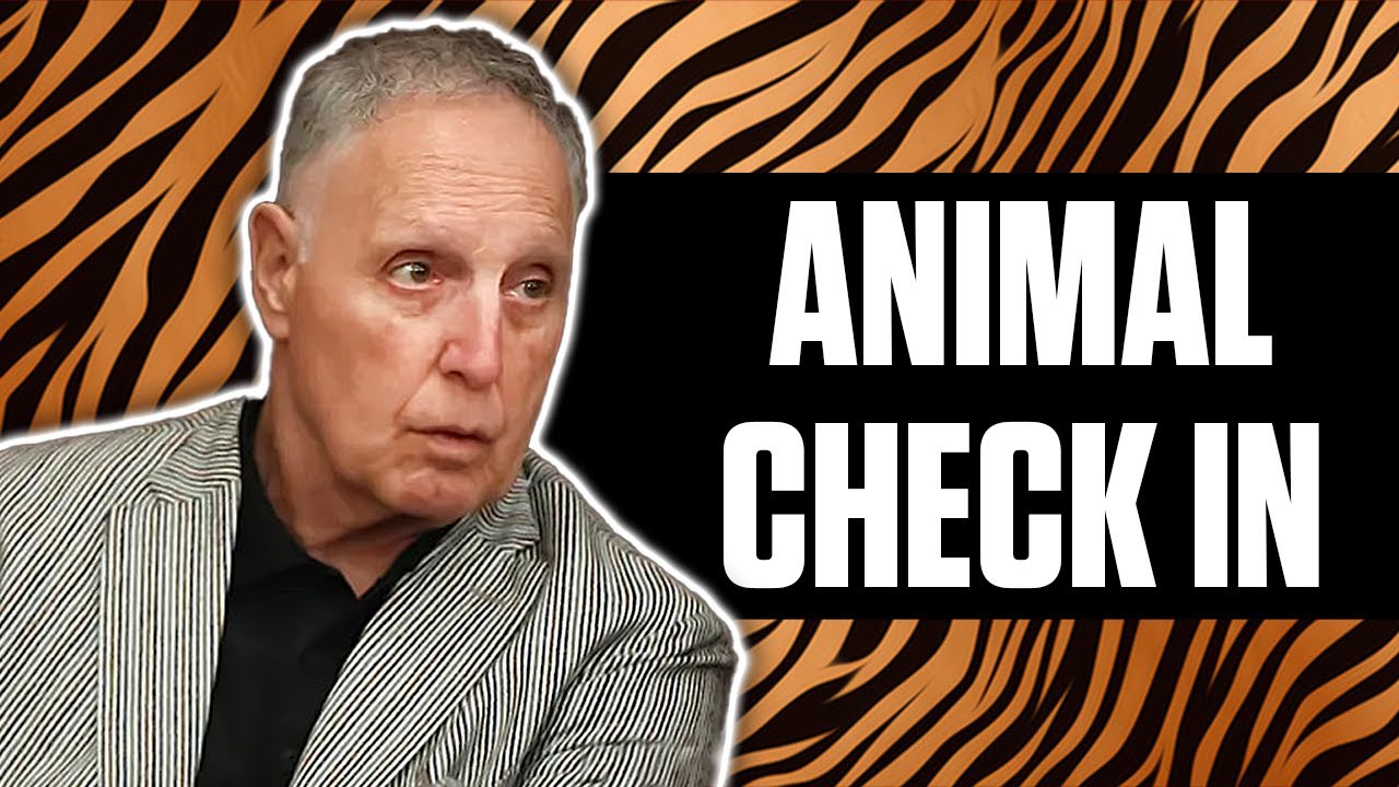 Boston Mob Power Vinnie "The Animal" Ferrara Still On The Map - YouTube